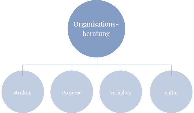 Organisationsberatung: Prozesse optimieren Qualität erhalten